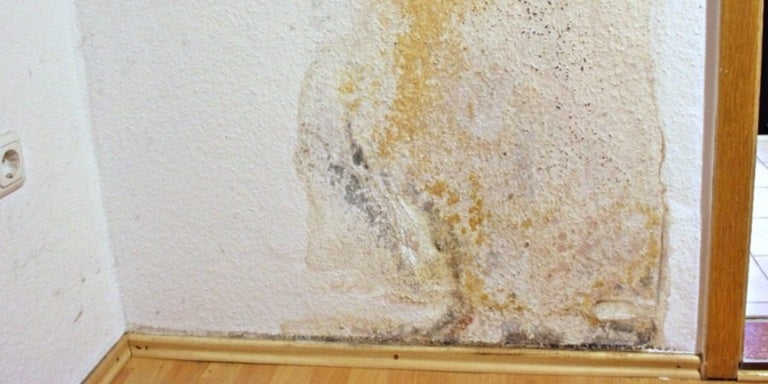 How to treat damp walls before painting | HomeServe
